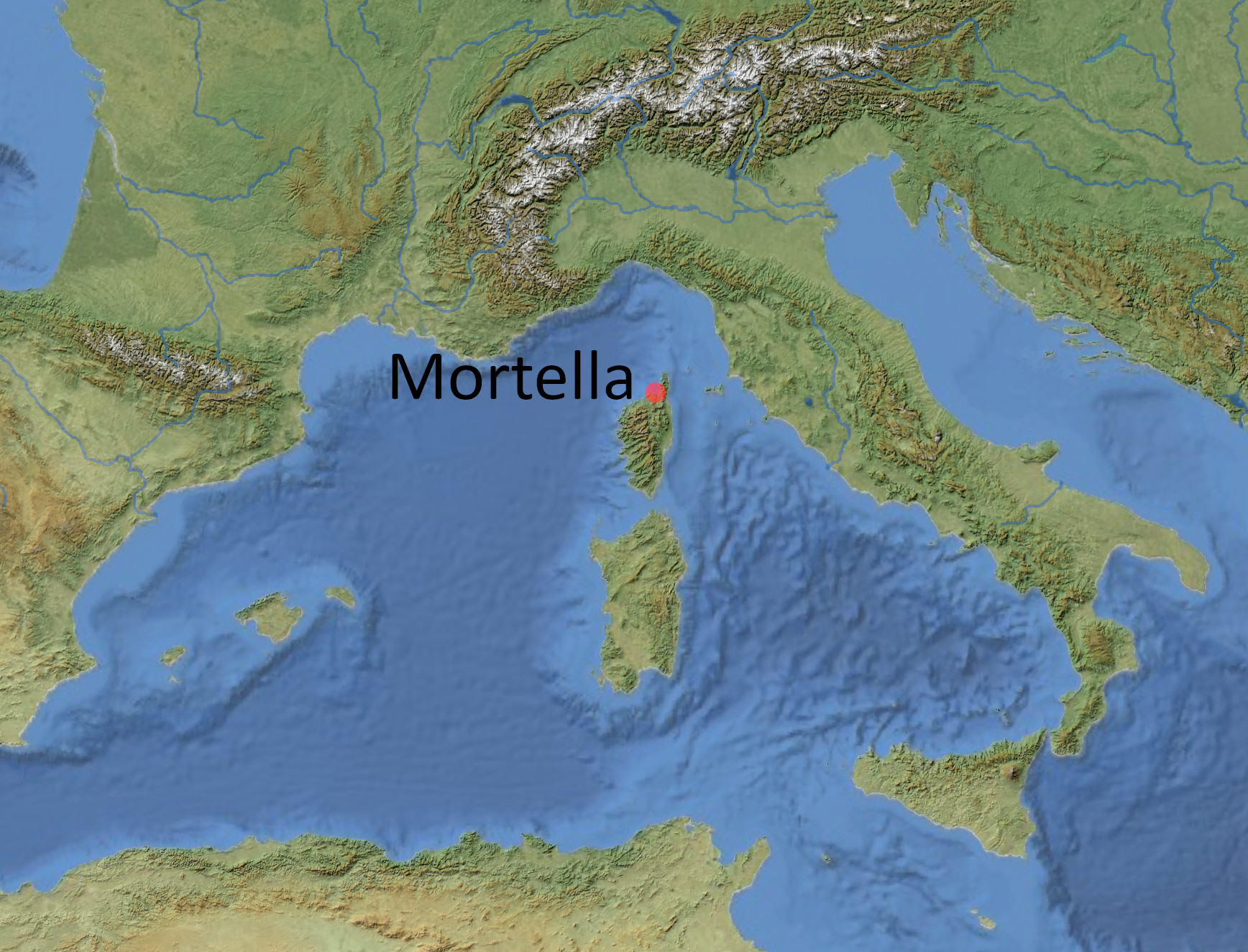Inicio_en – Mortella